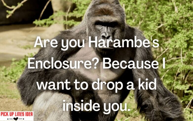 22+ Shark Pick Up Lines [Funny, Dirty, Cheesy] (new)